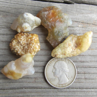 5pcs Natural Gobi agate/Jasper jinmai stone for Bonsai Suiseki gm344 | eBay