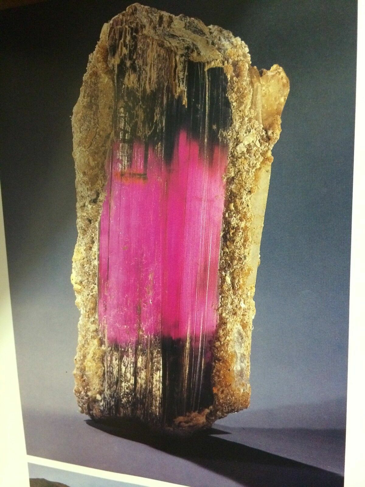 Gem and Crystal Treasures by Peter Bancroft (1984, Hardcover ...