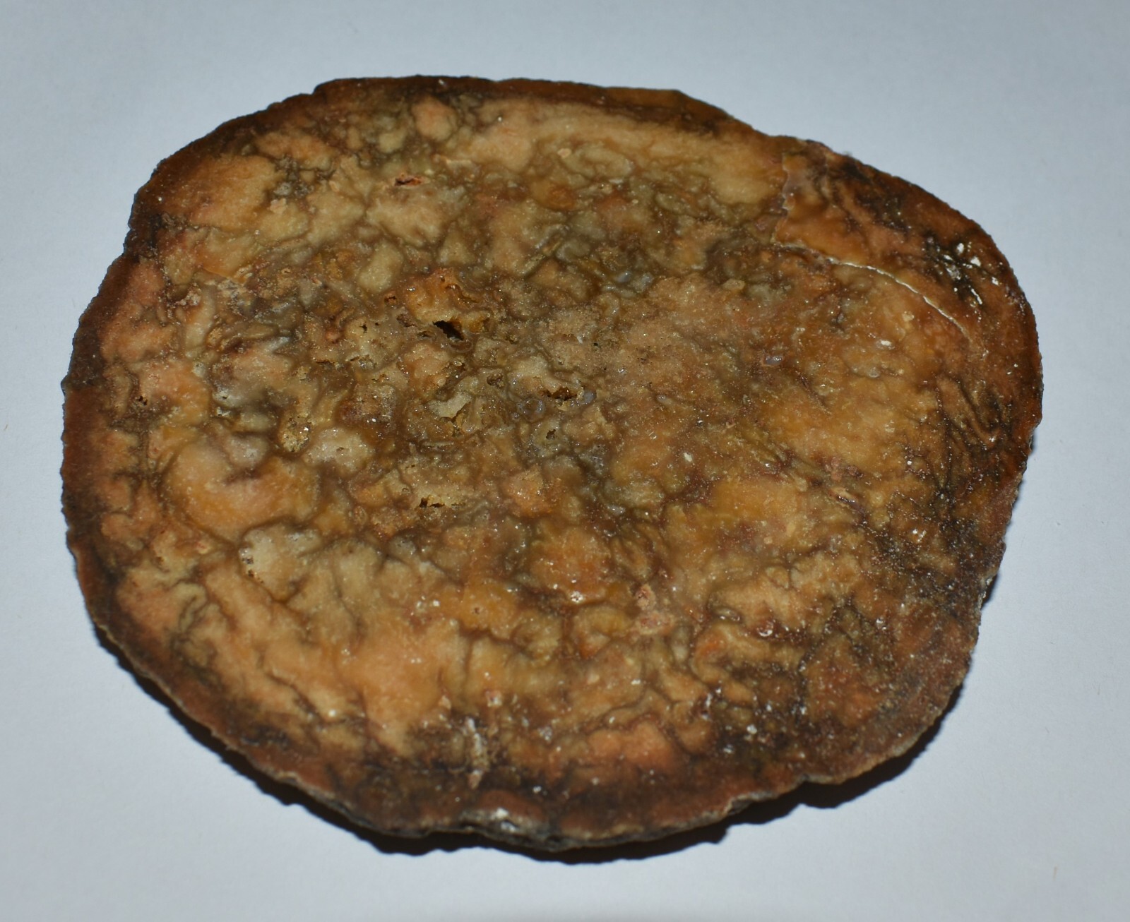 Brain Geode Drusy Chalcedony from North Carolina USA Polished Slab | eBay