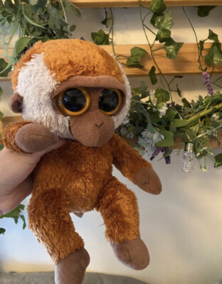 MEDIUM SIZE 23cm OFFICIAL TY BEANIE BOO BOOS BONGO THE ORANGUTAN | eBay UK