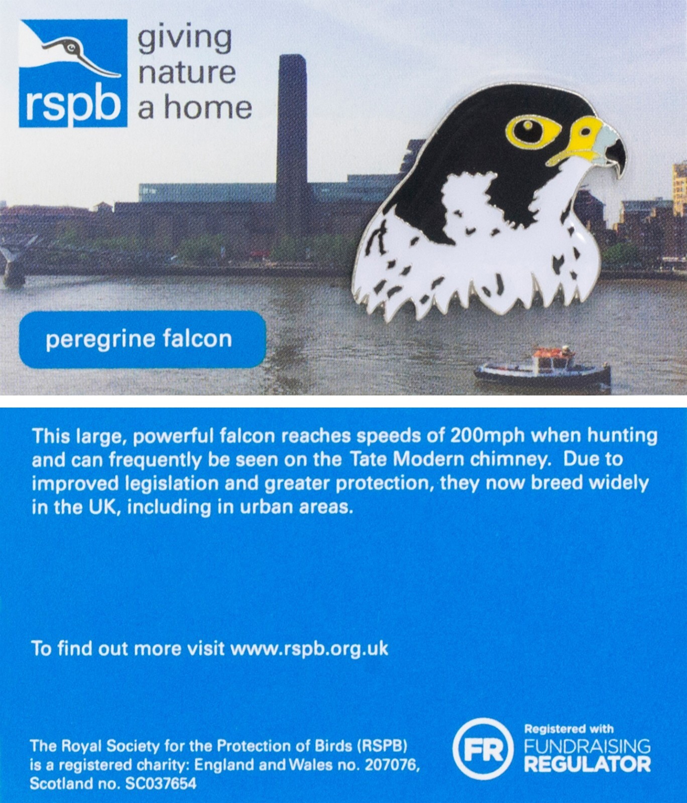 RSPB Pin Badge GNaH Peregrine Falcon (head) Special P01352 | eBay UK