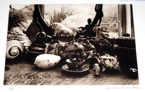 1980 US Etching Print A/P Hawaiian Still Life by Christine Harris-Amos ...