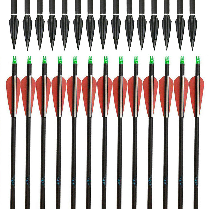 Archery 30" Carbon Arrows Practice & Hunting Arrowheads for Compound ...