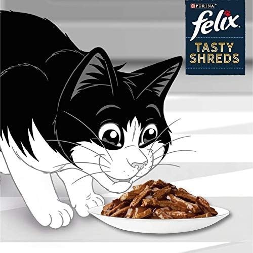 FELIX Tasty Shreds Mixed Selection in Gravy Wet Cat Food 40x80g Fast ...