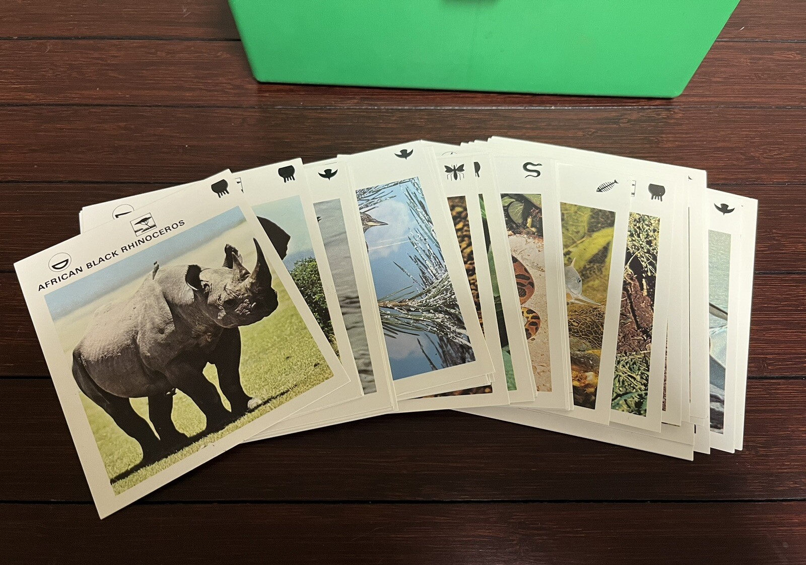 Vintage Illustrated Wildlife Treasury Animal Cards & Case - Teaching ...