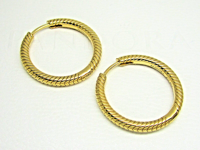 Authentic Pandora #269532C00 Pandora Moments Charm Hoop Earrings Shine ...