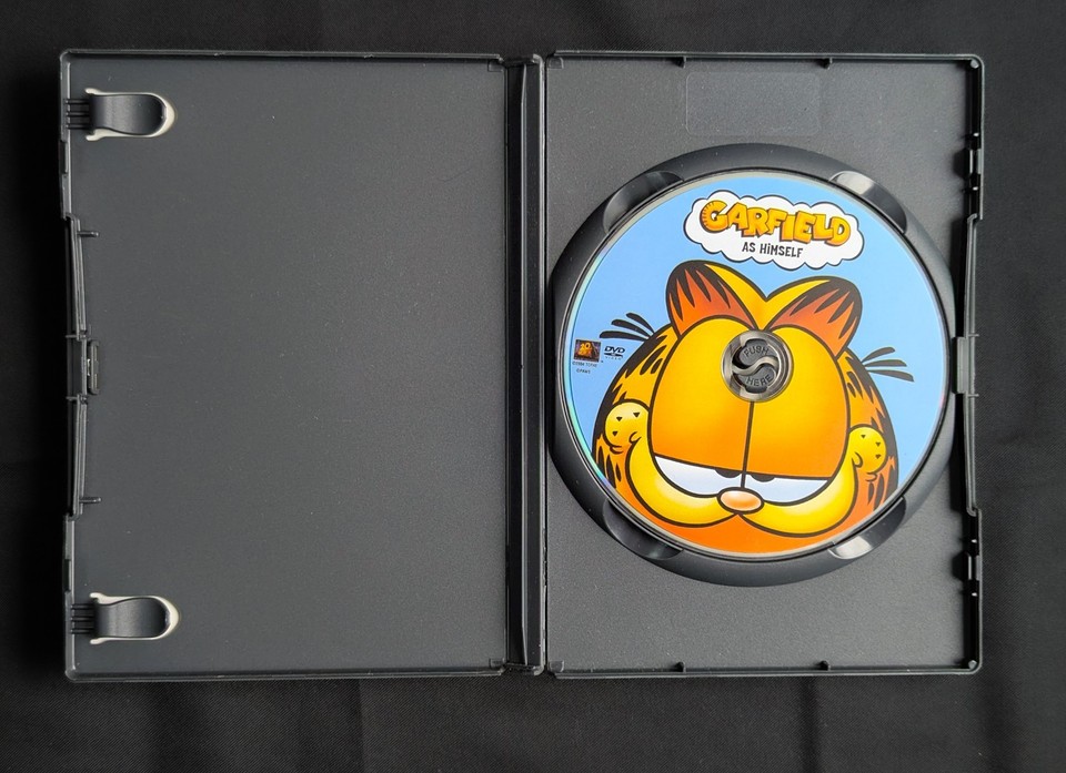 Lot Of 2 Garfield DVDs Garfield As Himself Garfield Holiday ...