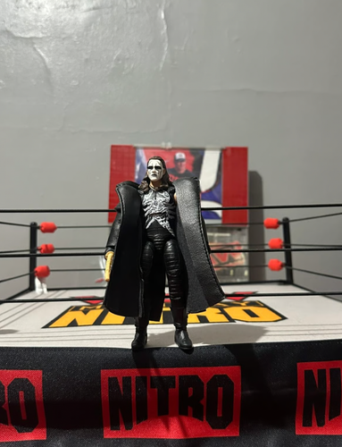 CUSTOM Long Hair Sting Elite WWE Mattel WCW NITRO STYLE w Jacket Weapon ...