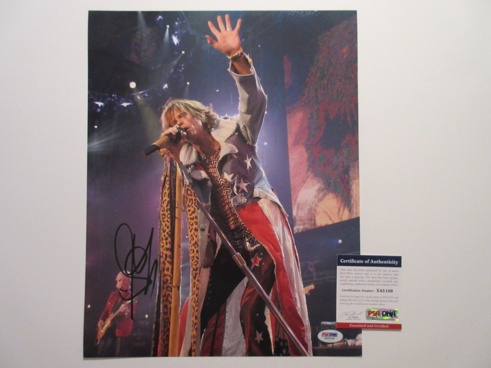 Steven Tyler Autographed Memorabilia | Signed Photo, Jersey ...