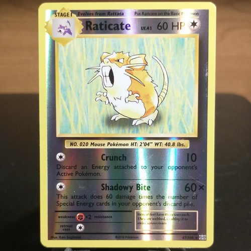 Raticate 67/108 LP/NM Reverse Holo XY Evolutions Foil 2016 Pokemon TCG ...