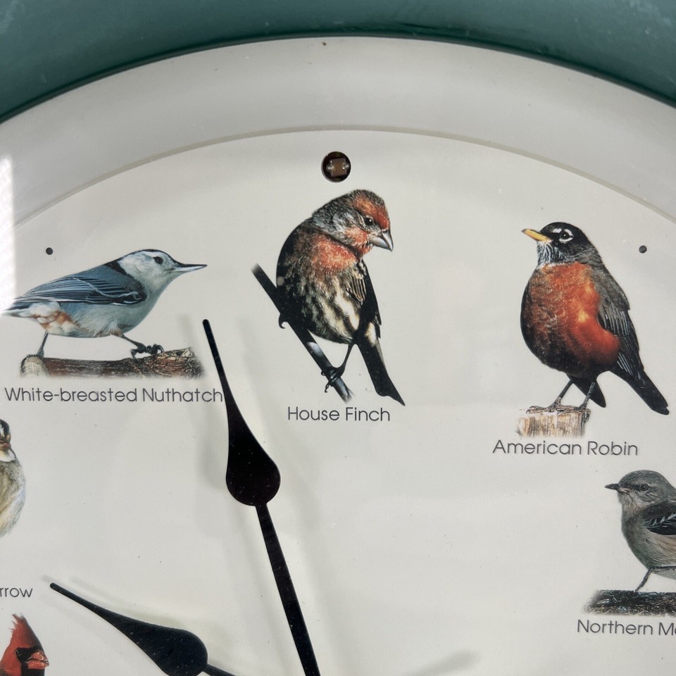 MFA Quartz Singing Bird Clock 12 Most Popular North American Song Birds ...
