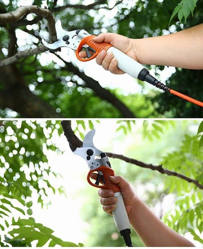 36V Electric fruit tree scissors Rechargeable Tree Branch Pruning ...