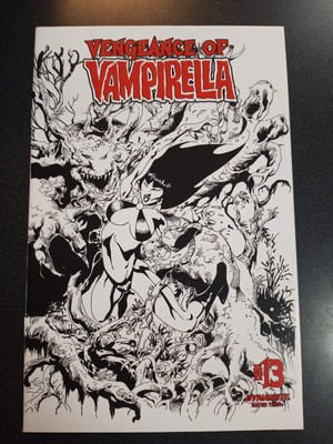 Vengeance of Vampirella #13 1:11 Castro B&W Variant Comic Book NM First ...
