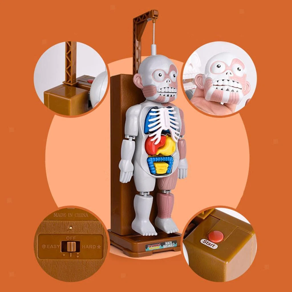 Physics Toys For Adults