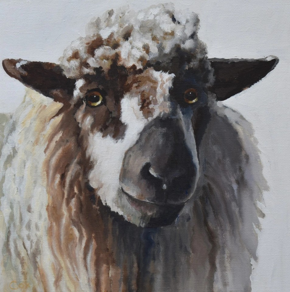Two Sheep Paintings By Bobby Cox | eBay UK