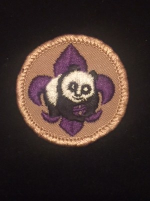 BOY CUB SCOUT "WORLD CONSERVATION " PATCH - OFFICIAL BSA - Panda purple ...