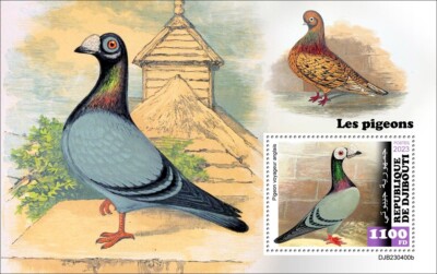 Pigeons English Carrier Pigeon MNH Stamps 2023 Djibouti S/S | eBay