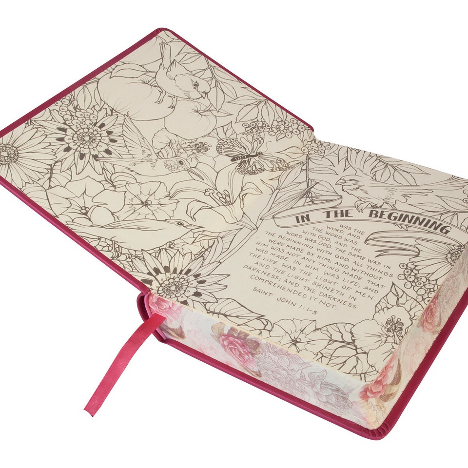 The Holy Bible King James Version Hardcover Bright Pink Journaling ...