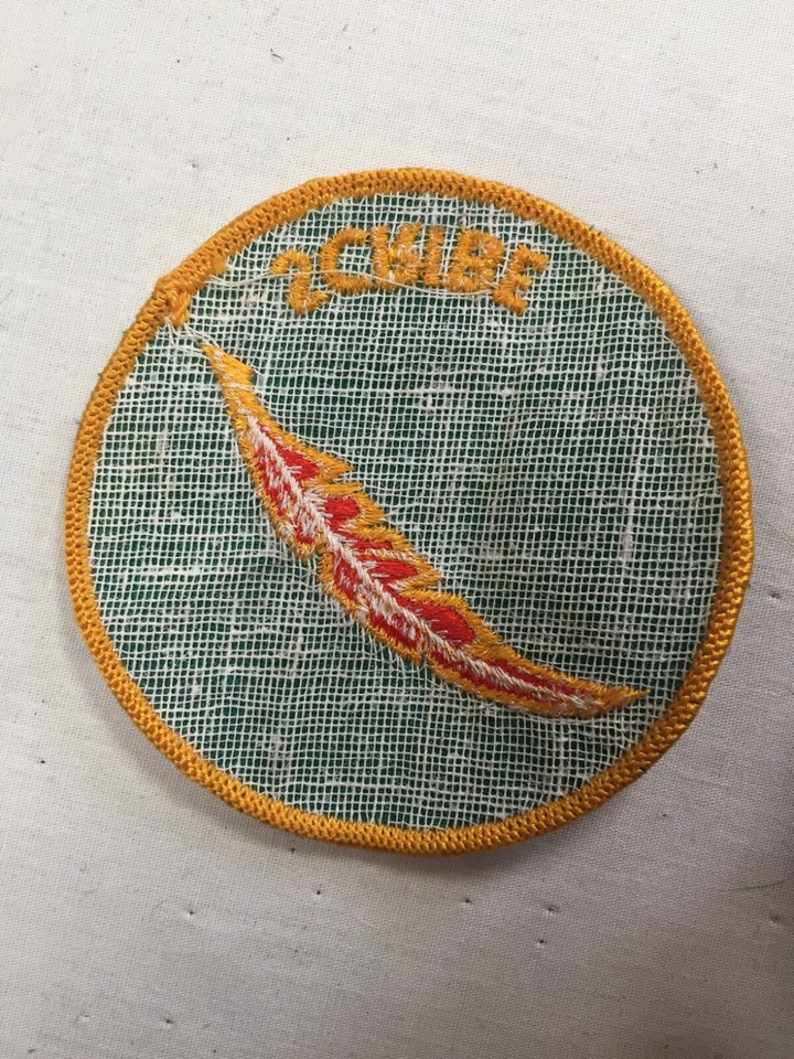 1970's Scribe Gauze back Youth BSA Position Patch | eBay