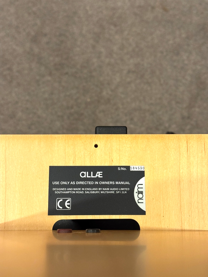 NAIM ALLAE SPEAKERS, BOXED, GOOD CONDITION, AUTHORISED DEALER! | eBay