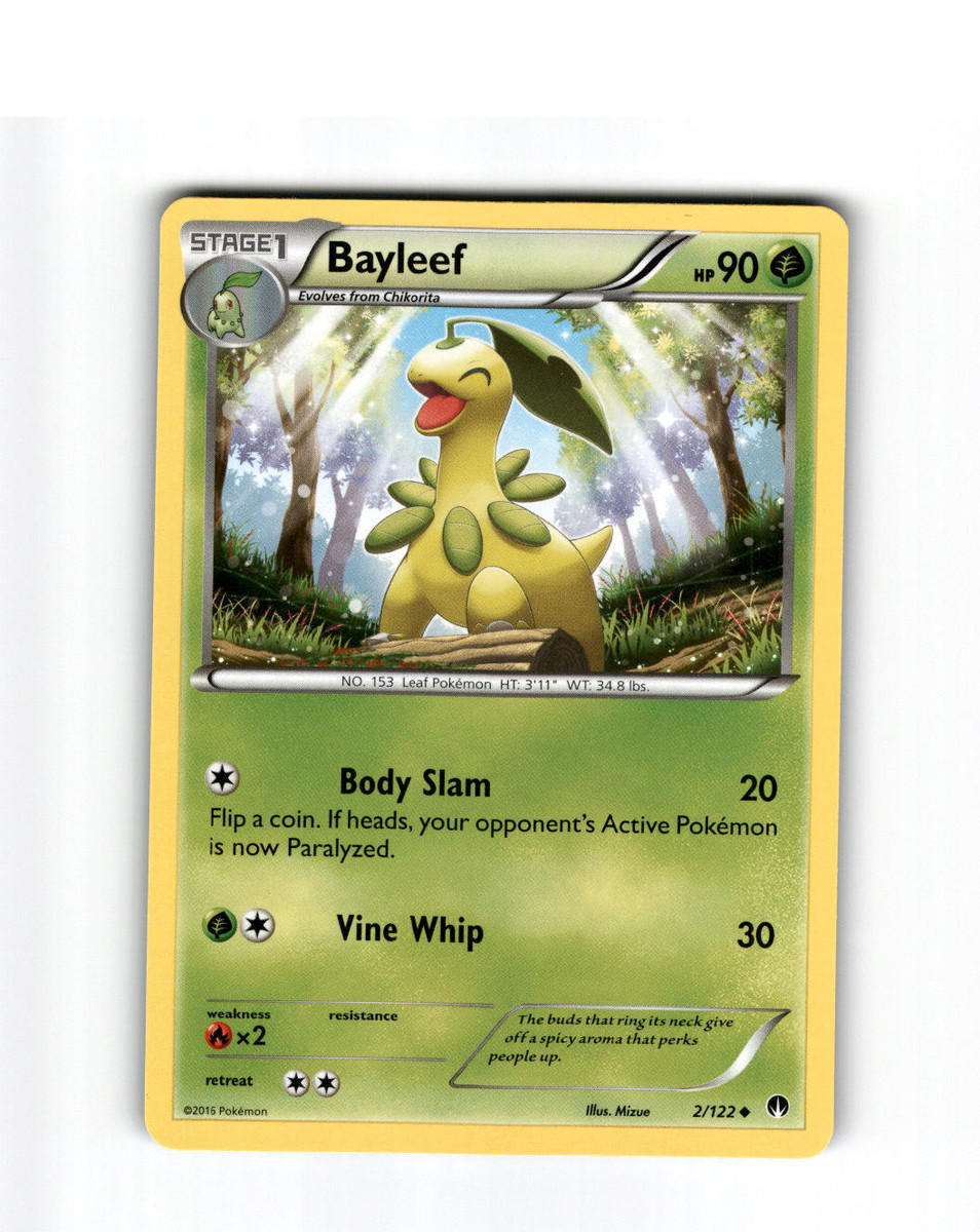 Bayleef Card