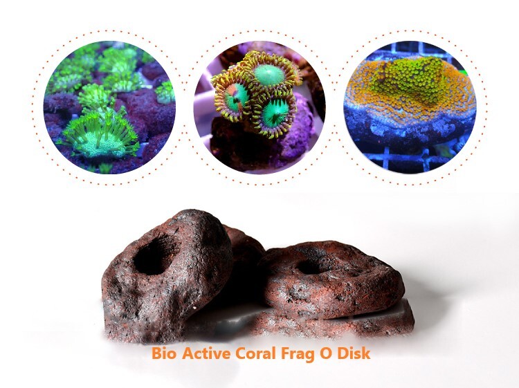 Fraggie Holic Bio-Active Coral Frag Plugs, Plates and Disks | eBay