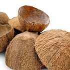 100% Pure Organic Natural Eco Friendly Ceylon Coconut Shell Halves Half ...