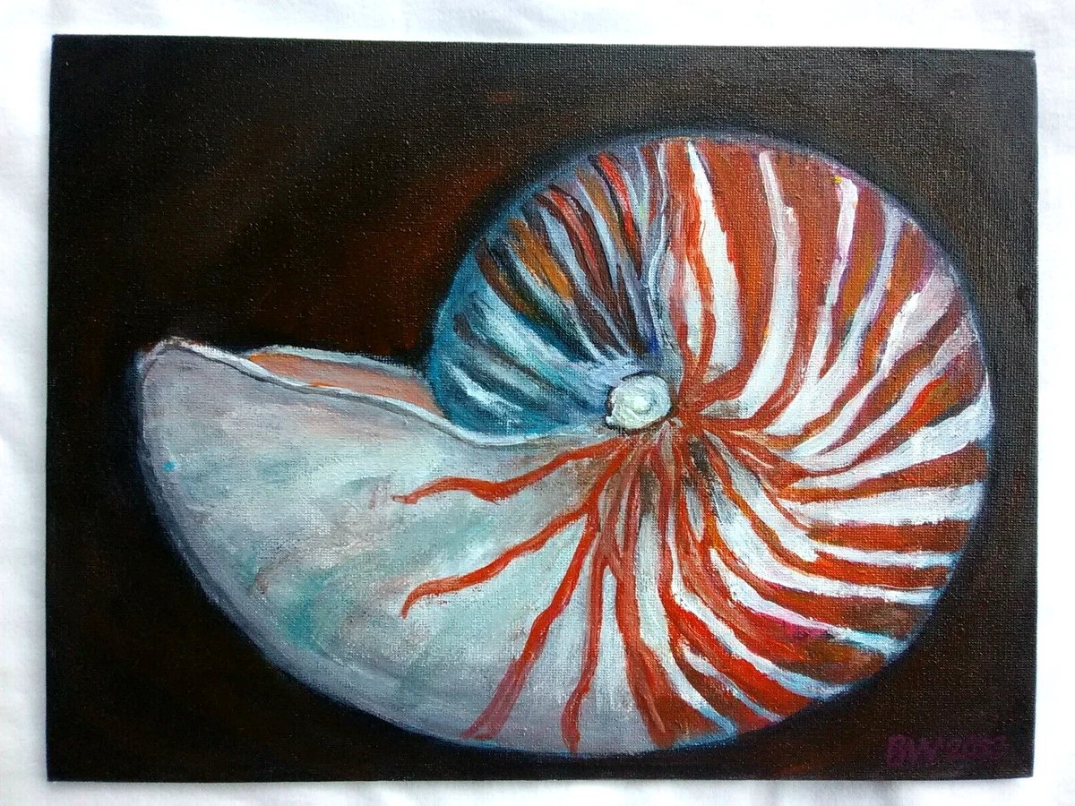 Nautilus Shell Painting