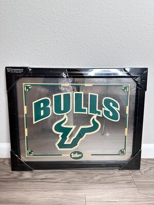 USF South Florida Bulls football Framed Mirror by The Memory Company | eBay