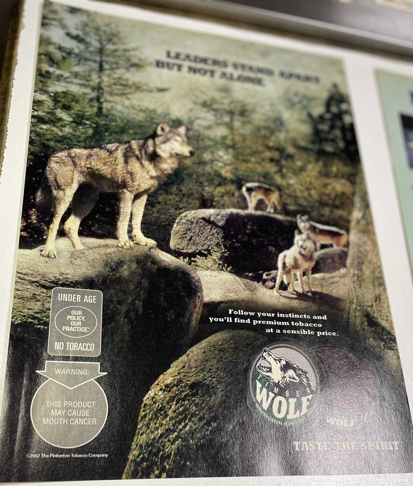 VINTAGE PRINT AD - TIMBER WOLF WINTERGREEN SMOKELESS TOBACCO AD WOLVES ...