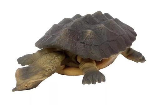 Mini Figure Matamata B Playing Creature Series Turtles Of The World 2 ...