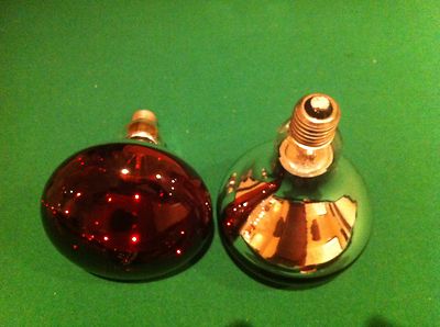 250w RUBY INFRA RED BULB HEAT LAMP CHICKS/PIG/PUPPIES/KITTENS/LAMB ...