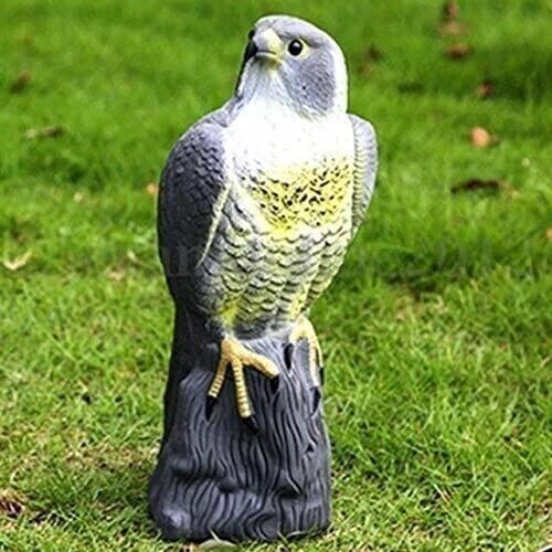 DECOY FALCON HAWK EAGLE DETERRANT GARDEN BIRD PEST CAT REPELLER POND ...