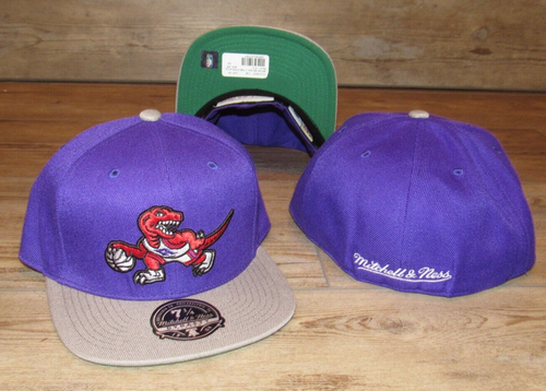 Mitchell & Ness Toronto Raptors Vintage Dynasty Fitted Hat Cap Men's ...