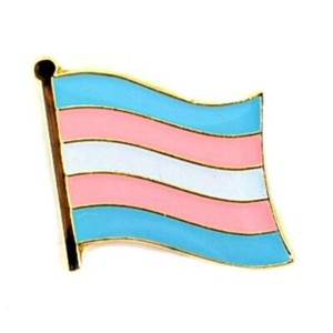 Transgender Flag Enamel Pin Badge - Trans LGBT Gay Pride Lapel | eBay