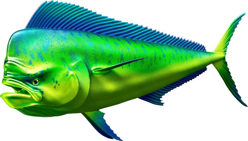 Mahi Mahi Beautiful Vinyl Sticker Fish Decals for Boat Car Vehicle ...