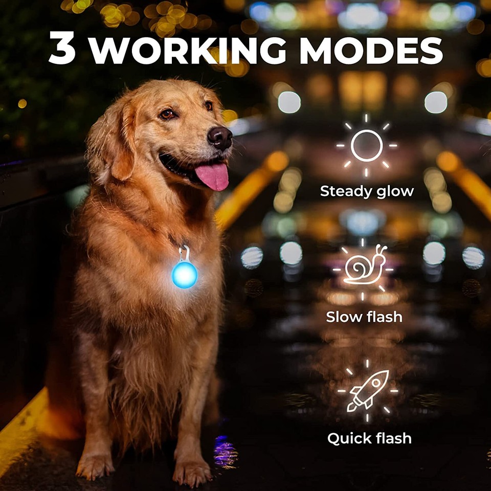 8Pcs Random Color LED Dog Collar Saftey Light for Pets Night Walking ...
