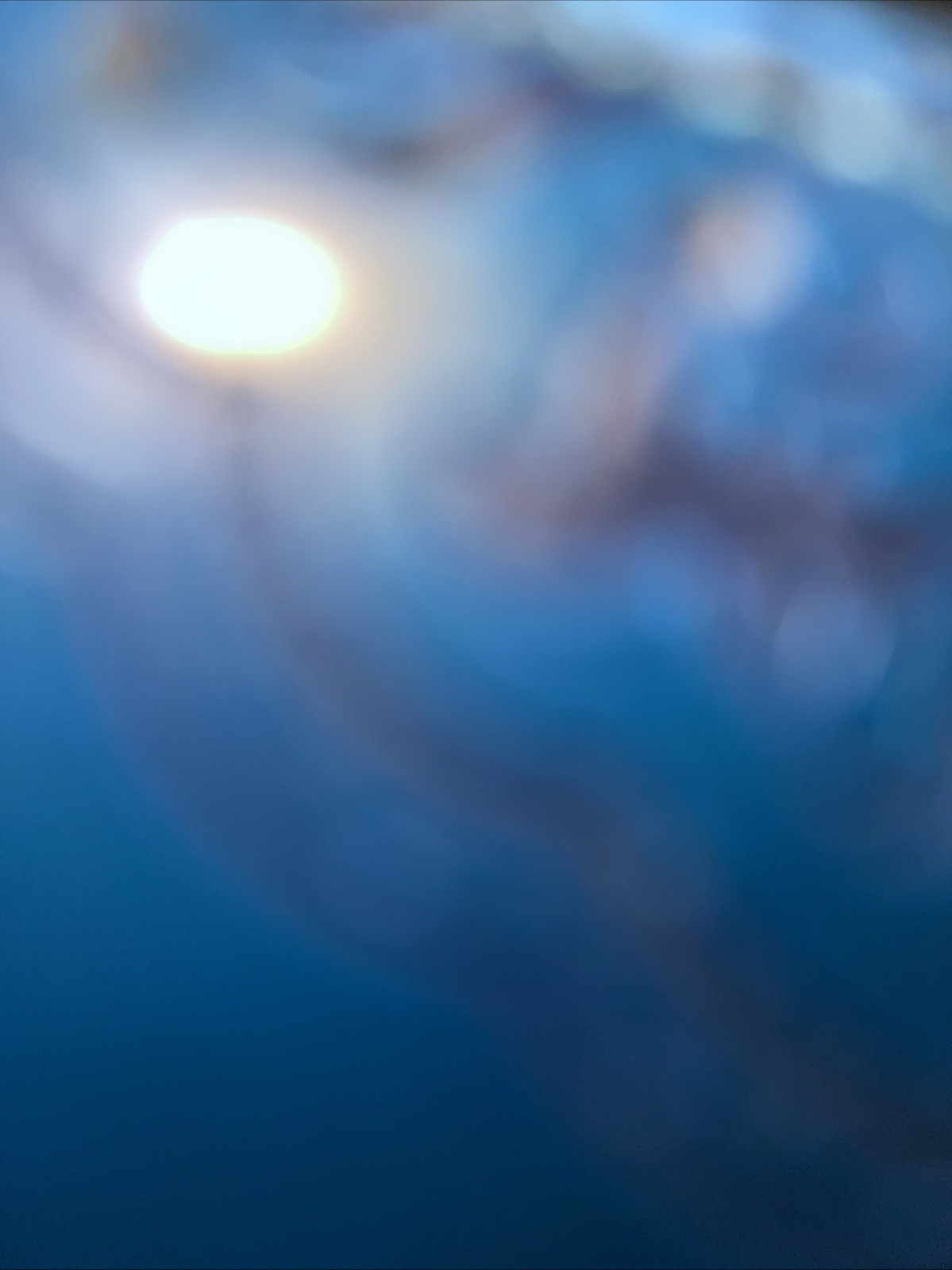 The F-Word by Random House Editors | eBay