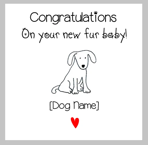 Congratulations Cute Animal
