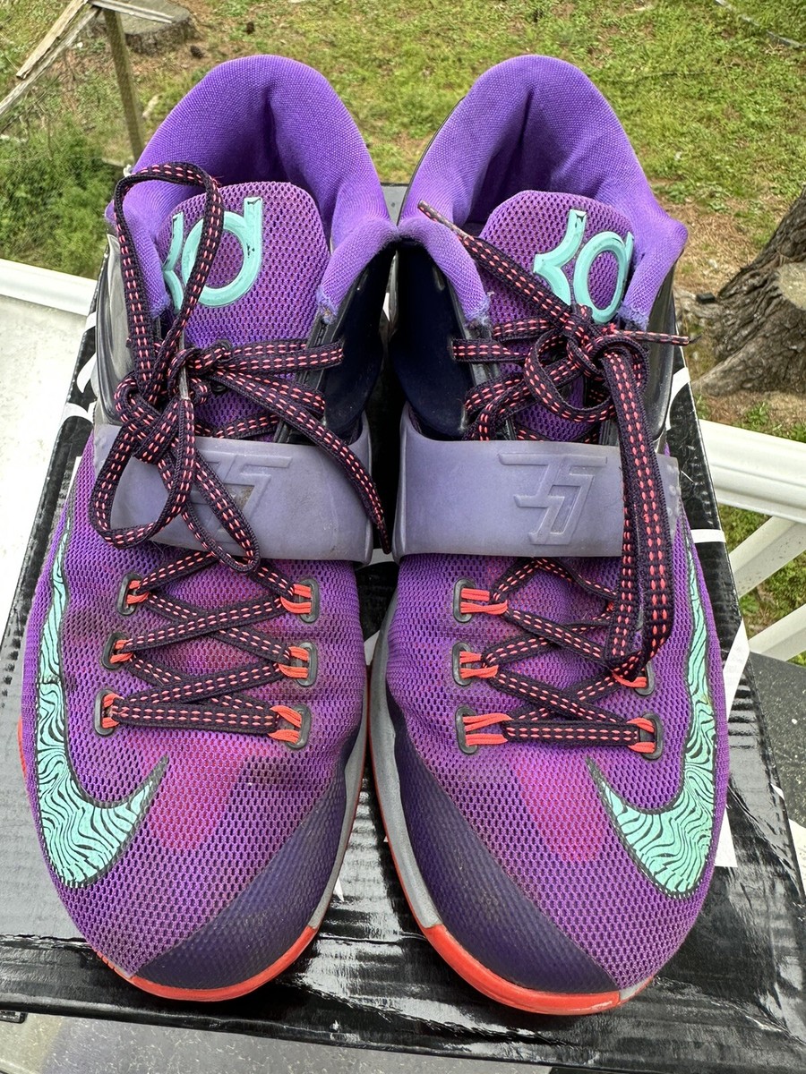 Kd7 Purple