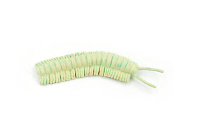 Millipede, Cave, Plastic Toy Insect Kids Gift, Realistic Figure, Gift ...