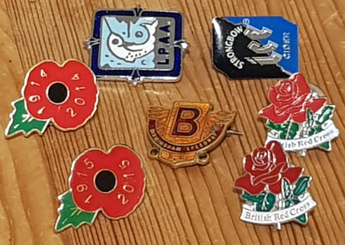 Selection of Small Pin Badges / 2014 2015 / British Red Cross ...