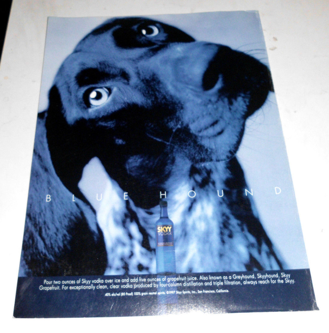 Skyy Vodka Bluehound 1997 Mint Print Ad Dog Hound Advertising Advert | eBay