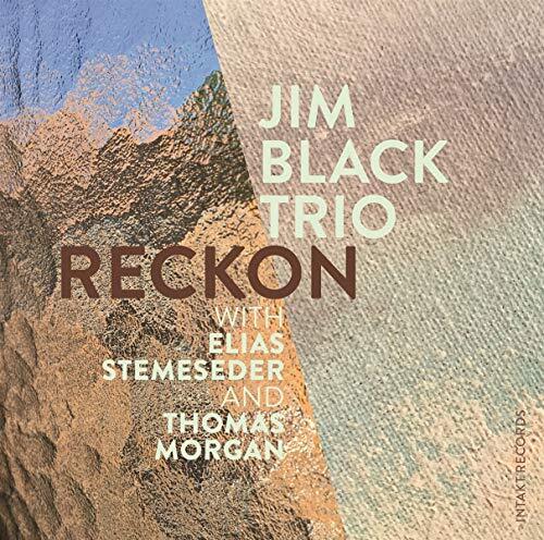 Jim Black Trio Reckon CD NEW | eBay