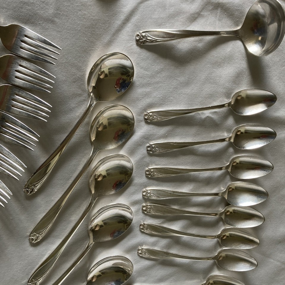 1847 Rogers Bros Daffodil IS Silverware Flatware Set 50 Assorted pcs | eBay