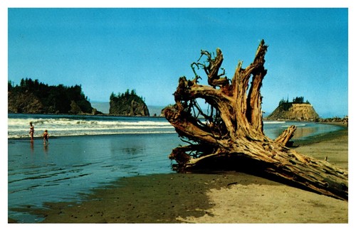La Push WA Washington Beach Home to Indian Village Chrome Postcard | eBay