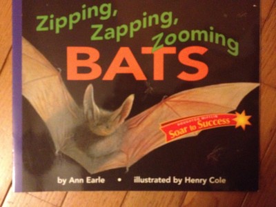 Soar to Success: Soar to Success Student Book Level 4 Wk 20 Zipping ...