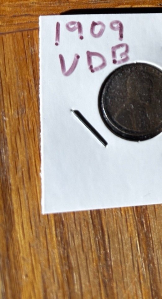 1000 Wheat Penny Cents 1909 VDB & 1909 P Lincoln Cent included, steel ...