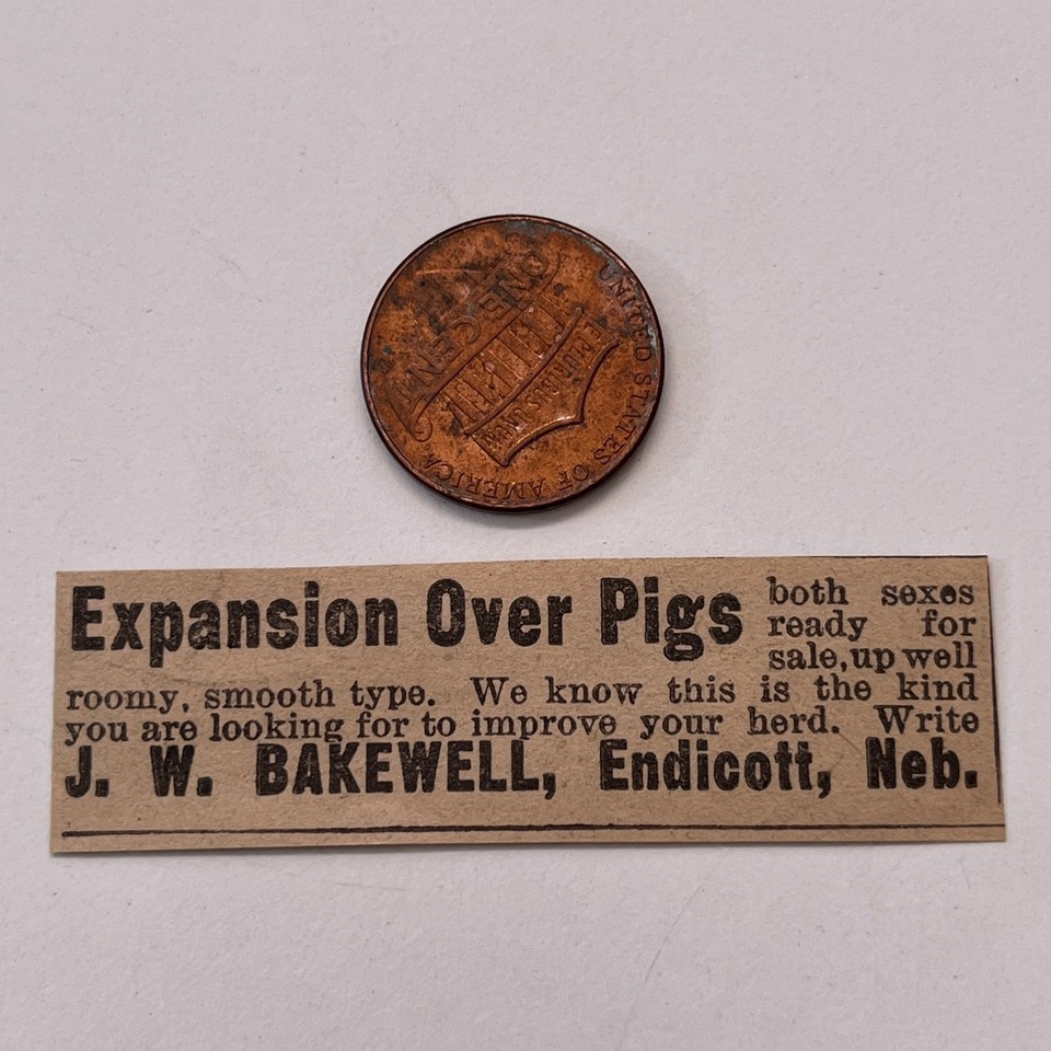 J.W. Bakewell Expansion Over Pigs Endicott NE 1910 Nebraska Farming Ad ...