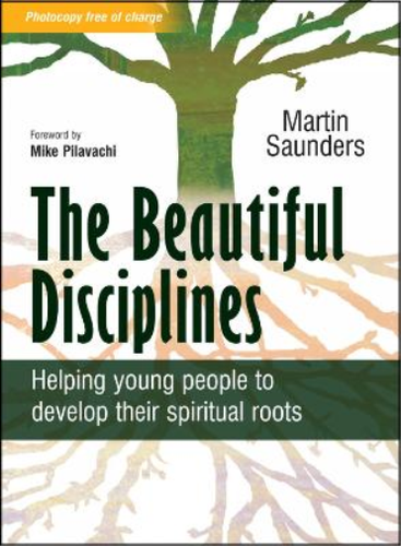 Martin Saunders The Beautiful Disciplines (Poche) | eBay